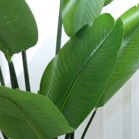 China Indoor Bonsai Artificial Landing Plant Simulated Green Tropical Traveler Palm for sale