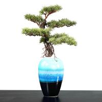 China Height 60cm Welcoming Pine Green Artificial Plant Desk Decor for sale