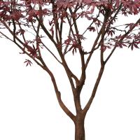 China All Season Simulated Anti UV Artificial Maple Tree Indoor Ornament for sale
