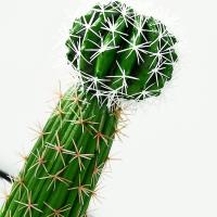 China hotel school Lifelike Artificial Cactus Plant Height 150cm Potted for sale