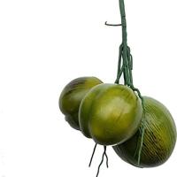 China Decorative High Imitation Artificial Coconut Fruit Plastic Durable for sale