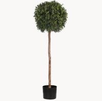 China Eco Friendly Artificial Potted Floor Plants Boxwood Single Trunk for sale