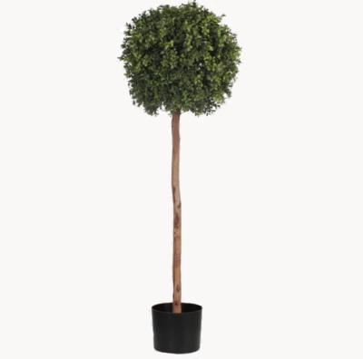 China Eco Friendly Artificial Potted Floor Plants Boxwood Single Trunk for sale