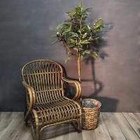 China Height 155cm Artificial Potted Floor Plants FIG Tree Fresh Green for sale