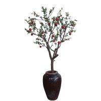 China Simulated Space Decor Artificial Pomegranate Tree Landing Bonsai Ornamental Greenery for sale