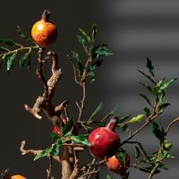 China Simulated Space Decor Artificial Pomegranate Tree Landing Bonsai Ornamental Greenery for sale