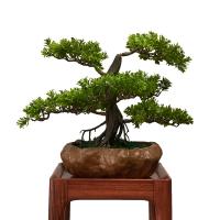 China OEM High Imitation Artificial Landscape Trees For Airports for sale