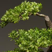 China OEM High Imitation Artificial Landscape Trees For Airports for sale