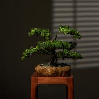 China OEM High Imitation Artificial Landscape Trees For Airports for sale