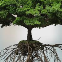 China Anti UV Vertical Greening Artificial Simulated Plant Decor Suspended Space Pendant for sale