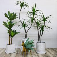 China 150cm Natural Artificial Potted Floor Plants House Decor Agave Tree for sale