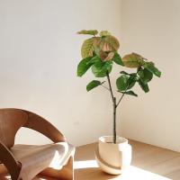 China 180cm Colorful Heart Shape Artificial Potted Floor Plants Indoor Decor Ficus Tree for sale