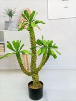 China Height 100cm Artificial Landscape Trees Pachypodium Lamerei Drake Indoor Decor for sale