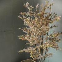 China Artificial Potted Landscaping Maple Tree Home Garden Ornaments for sale