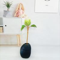 China 60cm White Artificial Potted Floor Plants Silk King Protea Cynaroides Flower for sale