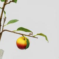 China Anti UV Artificial Apple Branch Plastic Plant Outdoor Decorative for sale