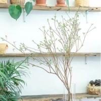 China 130cm Artificial Tree Branches Indoor Ornaments Creative Bonsai for sale