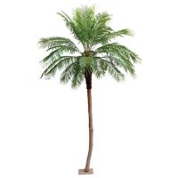 China Nordic Retro Bionic Tropical Phoenix Palm Tree Floor Green Hotel Decor for sale
