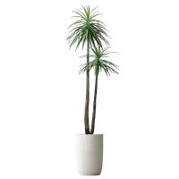 China Handmade 150cm Artificial Dracaena Frost Resistance Anti - Aging for sale