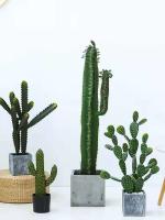 China Nordic Cactus Artificial Green Plant Bedroom Floor Potted Fire Retardant for sale