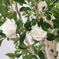 China 200cm Artificial Green Camellia White Flowers For Hotel Exhibition Decor for sale