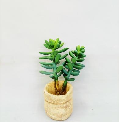 China OEM Green Artificial Succulent Plant Lovely Office Desk Decoration for sale