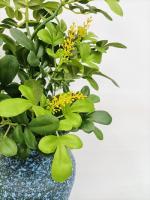 China 20CM Height Artificial Gardenia Bush Home Garden Table Decor for sale