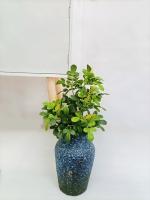 China 20CM Height Artificial Gardenia Bush Home Garden Table Decor for sale