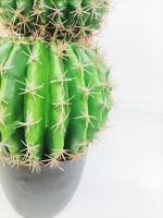China Cactus Ball Highly Lifelike 90cm Artificial Succulent Plant Round Shape for sale