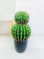 China Cactus Ball Highly Lifelike 90cm Artificial Succulent Plant Round Shape for sale
