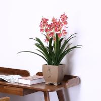 China High Lifelike 80cm Artificial Cymbidium Fabric Flowers House Table Decoration for sale