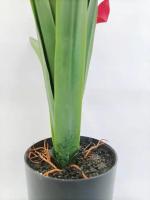 China 80cm Artificial Pineapple Plant Plastic Fruit Red Flowers Home Table Decoration for sale