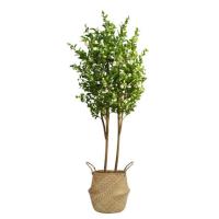 China PE Fabric Artificial Camellia Tree White Flower Customized Size for sale