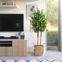 China PE Fabric Artificial Camellia Tree White Flower Customized Size for sale