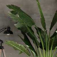 China Artificial Green Potted Plant Banana Tree Indoor Large Landscaping Decoration for sale