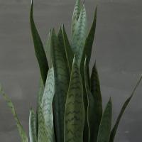 China Artificial Potted Bonsai Agave Plant Landing Ornaments Indoor Decoration for sale