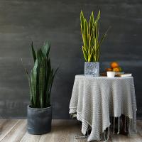 China Artificial Potted Bonsai Agave Plant Landing Ornaments Indoor Decoration for sale