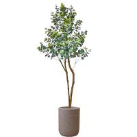 China 150Cm Artificial Potted Floor Plants Eucalyptus Minimalist Ornaments Bonsai for sale