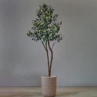 China 150Cm Artificial Potted Floor Plants Eucalyptus Minimalist Ornaments Bonsai for sale