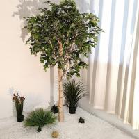 China Custom Artificial Landscaping Tree Bonsai Birch Garden Ornaments for sale