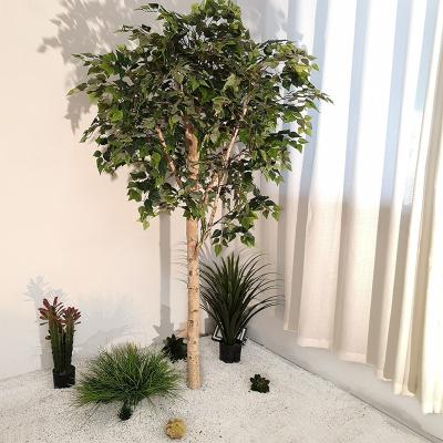China Custom Artificial Landscaping Tree Bonsai Birch Garden Ornaments for sale