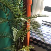China 120Cm Simulated Houseplant Boston Fern Indoor Prettification Fake Plant Bonsai for sale