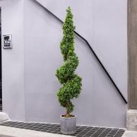 China 180Cm Spherical Simulated Plant Fake Boxwood Indoor Plastic Potted Bonsai for sale
