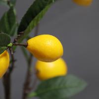 China Lifelike 100cm Artificial Fruit Tree Indoor Potted Lemon Green Yellow Plant for sale