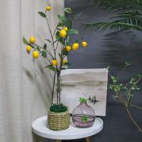 China Lifelike 100cm Artificial Fruit Tree Indoor Potted Lemon Green Yellow Plant for sale