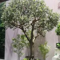 China Custom Fiberglass Olive Artificial Landscape Trees Garden Decoration for sale
