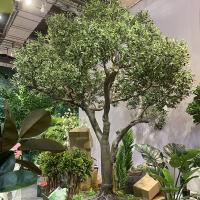China Custom Fiberglass Olive Artificial Landscape Trees Garden Decoration for sale