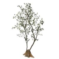 China OEM Green Aglaia Tree Floral Artificial Potted Floor Plants House Ornamets for sale