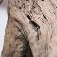 China Lifelike Fiberglass Dry Tree Trunk Custom Props Retro Style Planting Decoration for sale