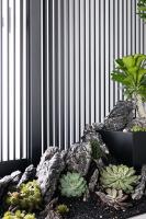 China Anti Aging Artificial Succulent Plant Home Interior Landscape Set Pieces Potted for sale